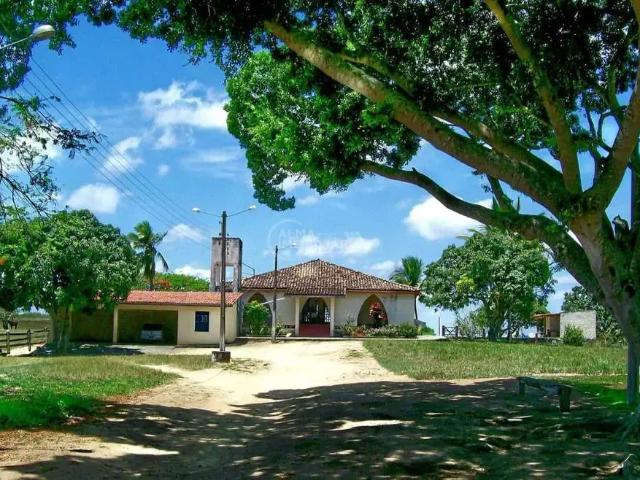 Fazenda para Venda em Ibiquera/BA Centro 4 Quartos
