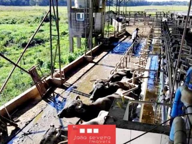 Fazenda para Venda em Iguape