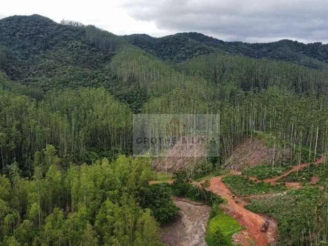 Fazenda para Venda em Igaratá/SP Centro