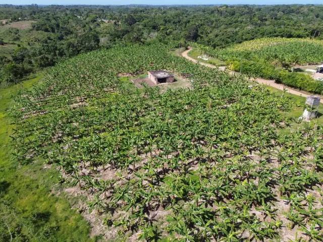 Fazenda para Venda em Ilhéus/BA Coutos 4 Quartos