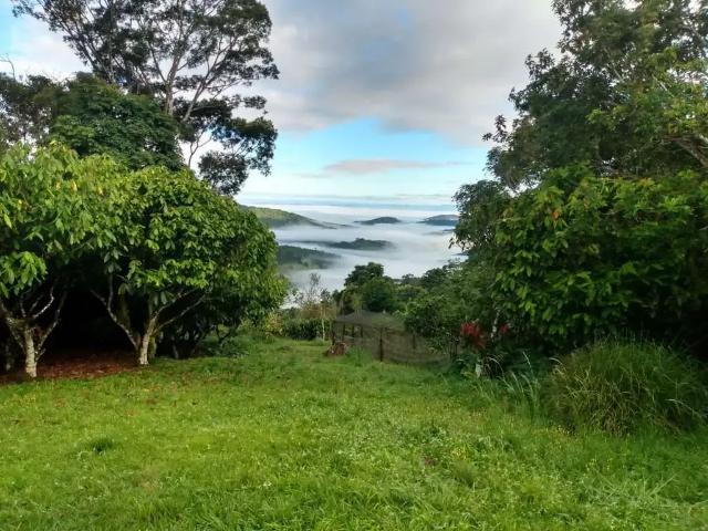 Fazenda para Venda em Ilhéus/BA Área Rural de Ilhéus 2 Quartos