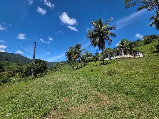 Fazenda para Venda em Ilhéus/BA Banco Central 3 Quartos