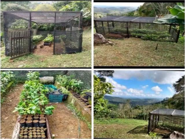 Fazenda para Venda em Ilhéus/BA Jardim Savóia