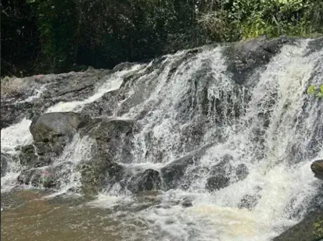 Fazenda para Venda em Ilhéus/BA Olivença 5 Quartos