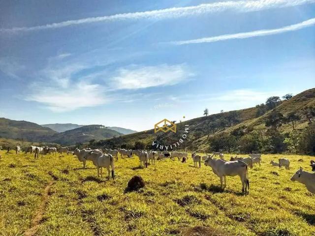 Fazenda para Venda em Ilicínea/MG Zona Rural 3 Quartos