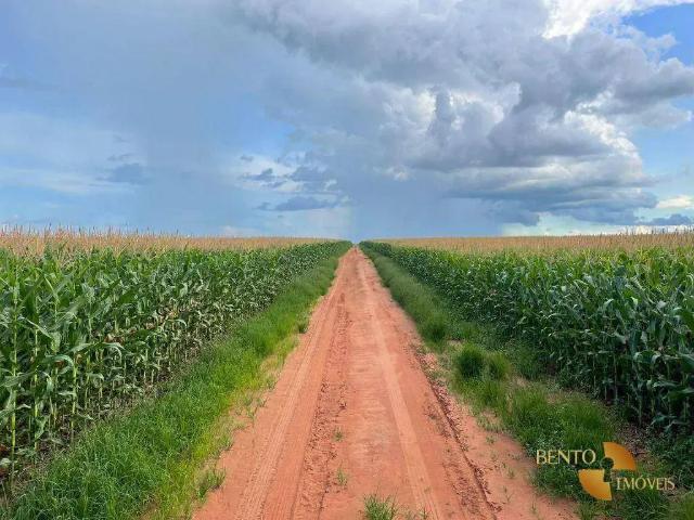 Fazenda para Venda em Ipiranga do Norte/MT Zona Rural