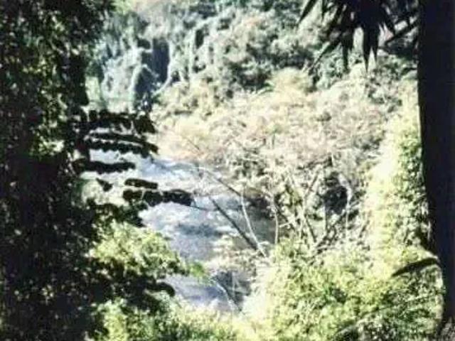 Fazenda para Venda em Iporanga/SP Centro