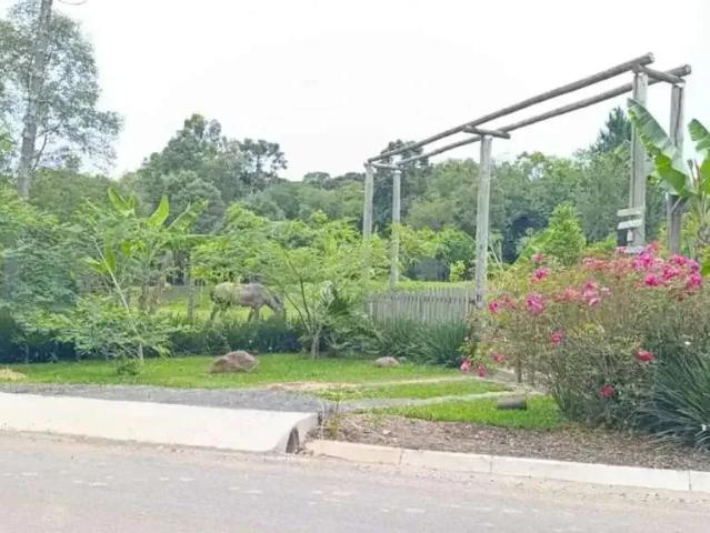 Fazenda para Venda em Irati/PR Zona Rural 3 Quartos