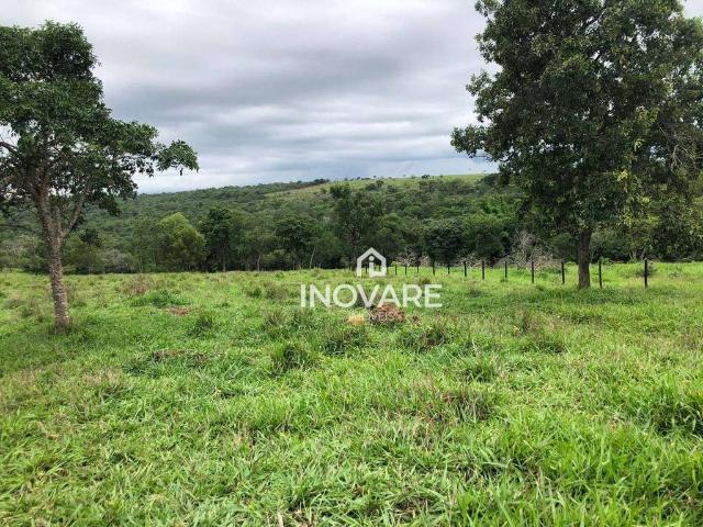 Fazenda para Venda em Itumbiara/GO Área Rural de Itumbiara