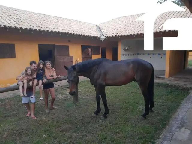 Fazenda para Venda em Itu/SP Jardim Emicol 3 Quartos