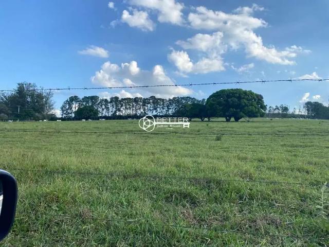 Fazenda para Venda em Itu/SP Pinheirinho 4 Quartos