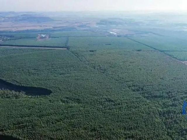 Fazenda para Venda em Itu/SP Zona Rural 1 Quartos