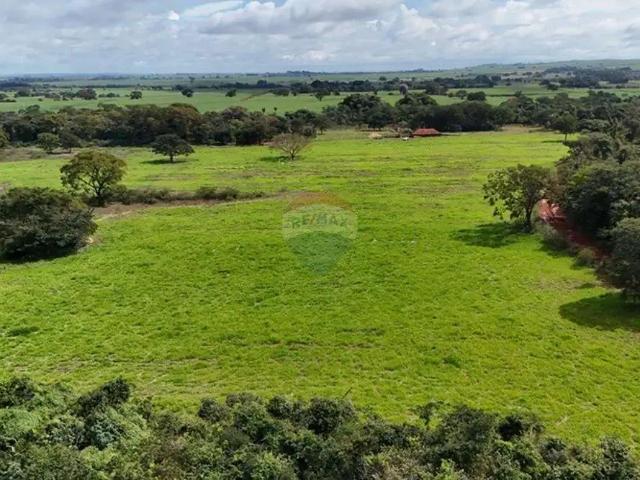 Fazenda para Venda em Ituverava/SP Centro 5 Quartos