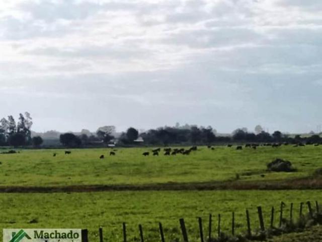 Fazenda para Venda em Itacurubi, Rural