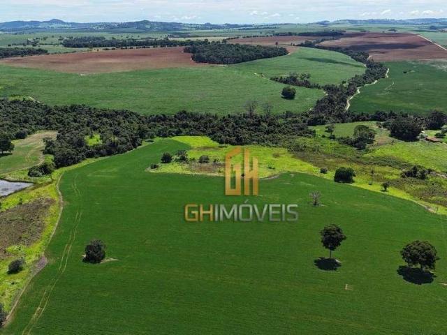 Fazenda para Venda em Itaberaí/GO Alto da Boa Vista