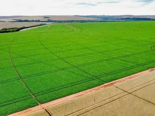 Fazenda para Venda em Itaberá/SP Centro 4 Quartos