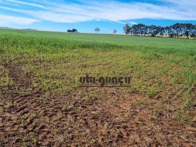 Fazenda para Venda em Itaberá/SP Engenheiro Maia