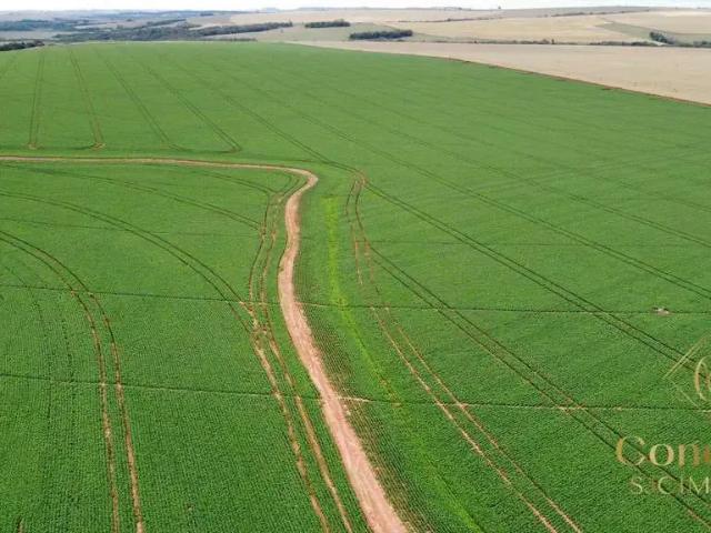 Fazenda para Venda em Itaberá/SP Jardim São Pedro