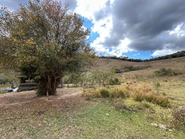 Fazenda para venda em Itabirito
