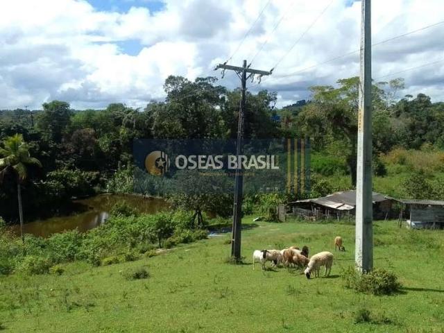 Fazenda para Venda em Itabuna/BA Santo Antônio