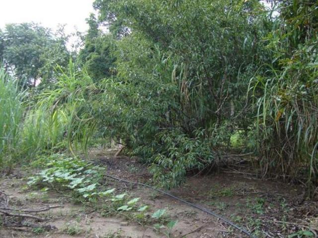 Fazenda para Venda em Itaguara