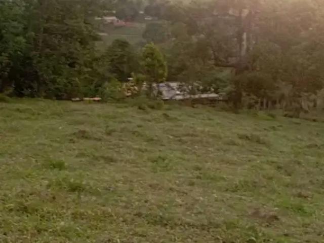 Fazenda para Venda em Itaguara/MG Zona Rural 3 Quartos