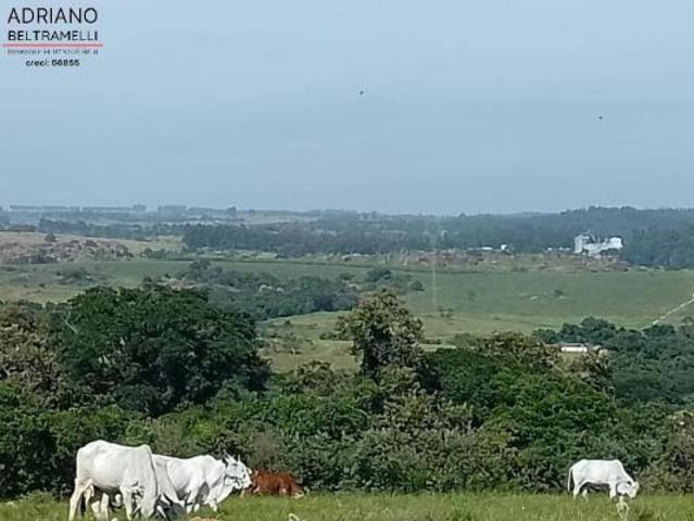 Fazenda para venda em Itaici, Indaiatuba