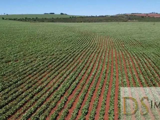 Fazenda para Venda em Itaí/SP Centro