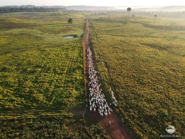 Fazenda para Venda em Itaituba/PA Área Rural de Itaituba 8 Quartos
