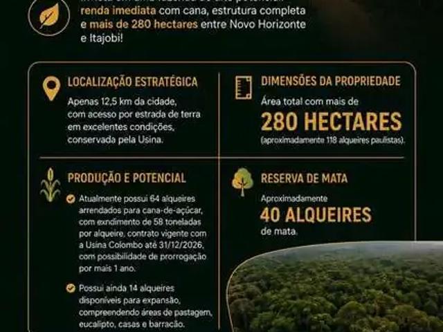 Fazenda para Venda em Itajobi/SP Zona Rural 3 Quartos