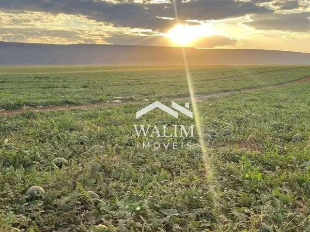 Fazenda para Venda em Itajubá/MG Área Rural de Itajubá 3 Quartos