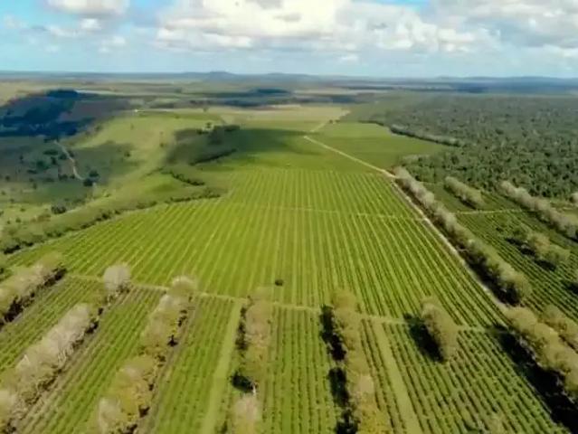 Fazenda para Venda em Itamaraju/BA Zona Rural
