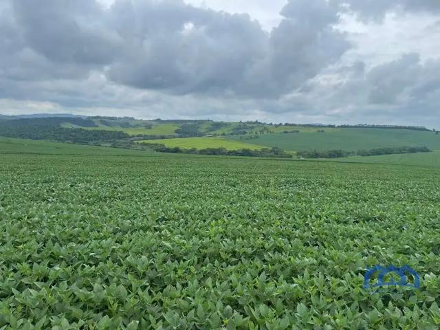 Fazenda para Venda em Itaporanga/SP Centro 1 Quartos
