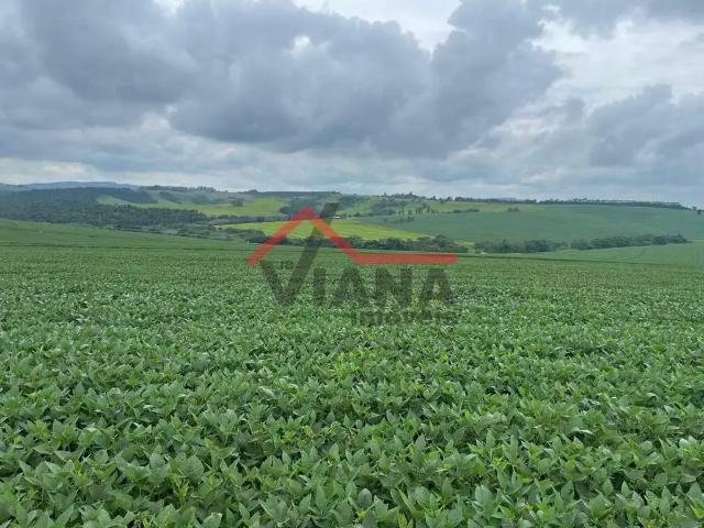 Fazenda para Venda em Itaporanga/SP Zona Rural