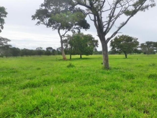 Fazenda para Venda em Itapagipe, Zona Rural