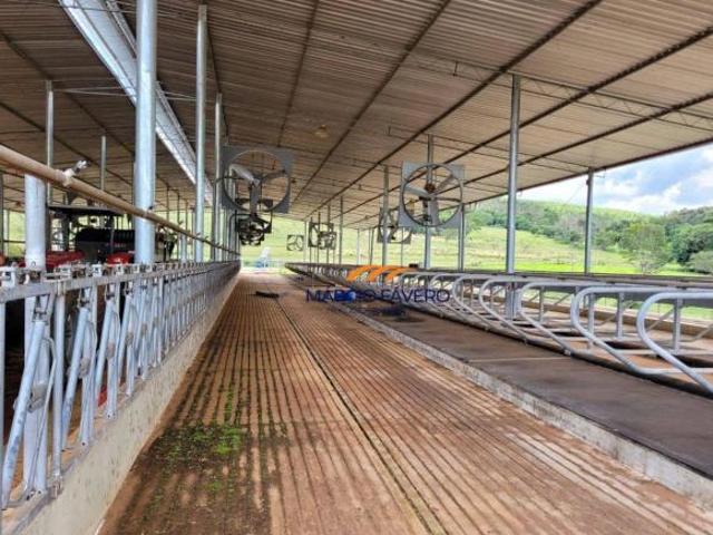Fazenda para venda em Itapetininga