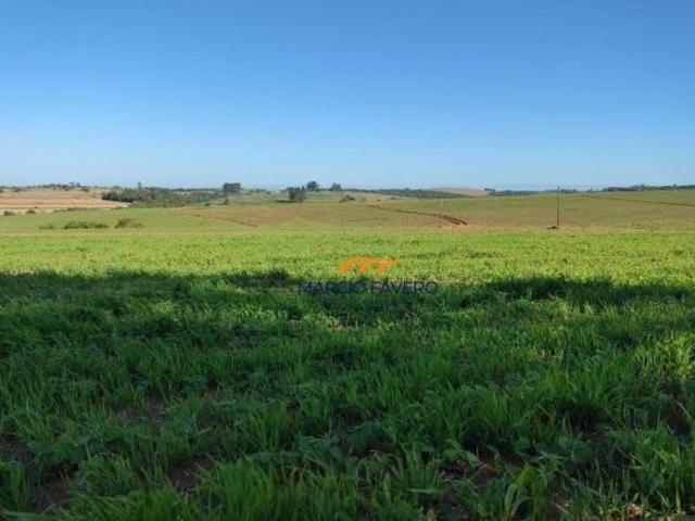 Fazenda para venda em Itapetininga