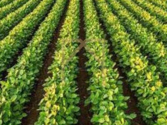 Fazenda para venda em Itapetininga