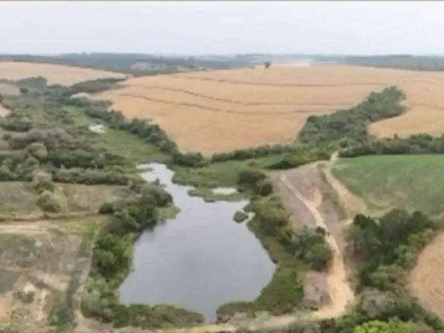 Fazenda para Venda em Itapetininga/SP Conceição 1 Quartos