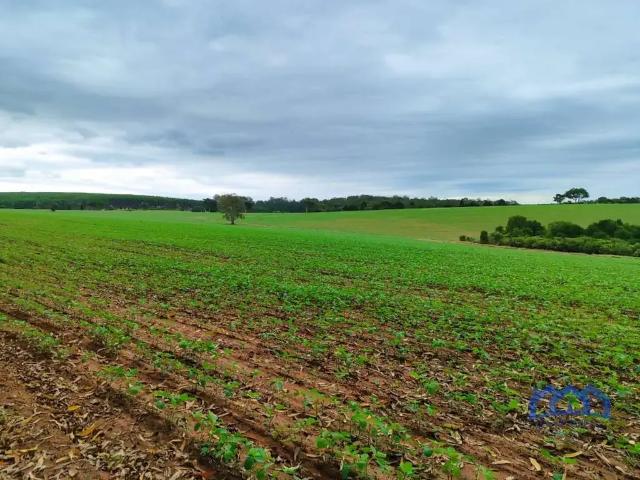 Fazenda para Venda em Itapetininga/SP Centro 1 Quartos
