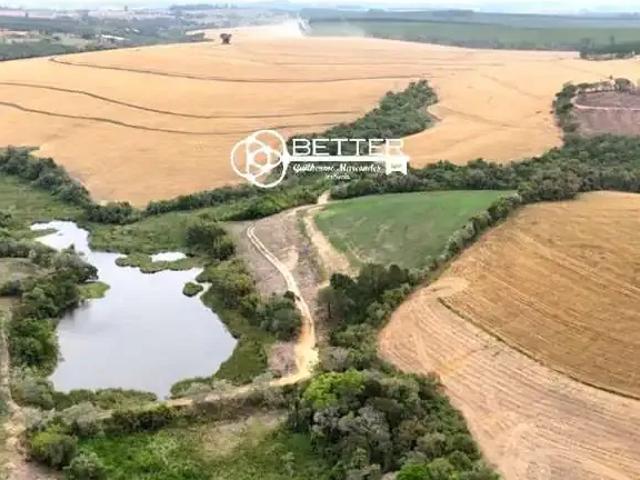 Fazenda para Venda em Itapetininga/SP Área Rural de Itapetininga 3 Quartos