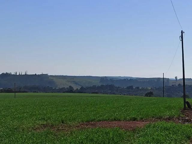 Fazenda para Venda em Itapetininga/SP Área Rural de Itapetininga