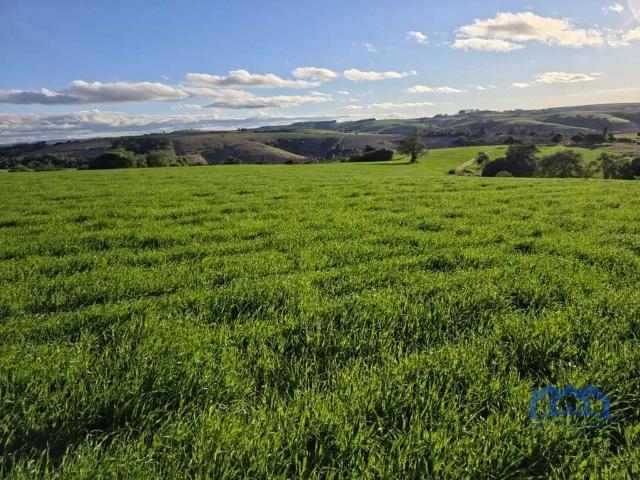 Fazenda para Venda em Itapetininga/SP Área Rural de Itapetininga 1 Quartos