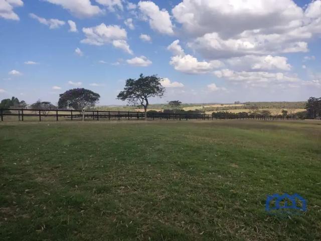 Fazenda para Venda em Itapetininga/SP Área Rural de Itapetininga 1 Quartos