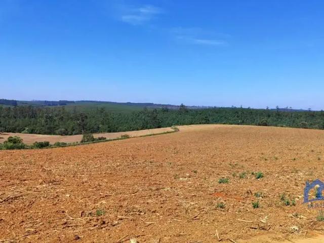 Fazenda para Venda em Itapetininga/SP Área Rural de Itapetininga 1 Quartos