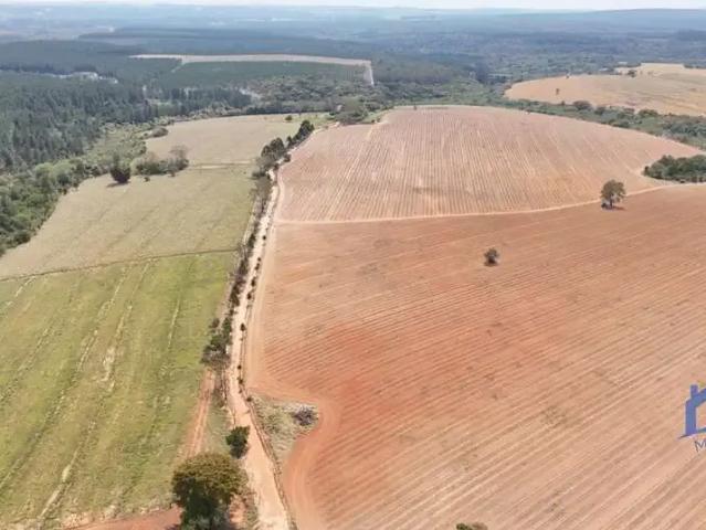 Fazenda para Venda em Itapetininga/SP Área Rural de Itapetininga 1 Quartos