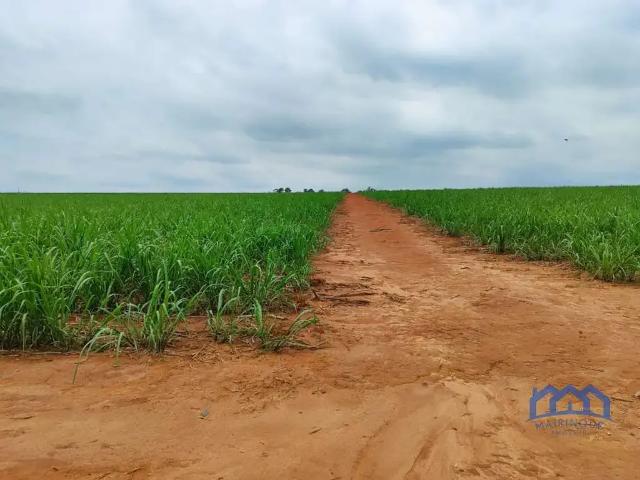 Fazenda para Venda em Itapetininga/SP Área Rural de Itapetininga 1 Quartos