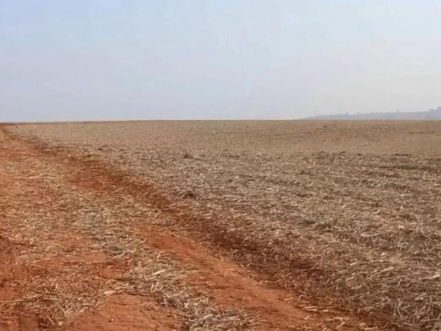 Fazenda para Venda em Itapetininga/SP Área Rural de Itapetininga