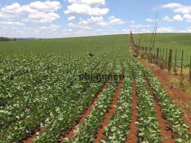 Fazenda para Venda em Itapetininga/SP Área Rural de Itapetininga