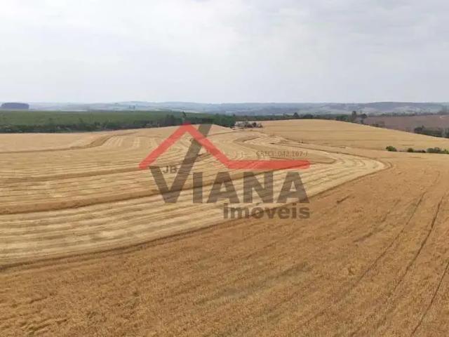 Fazenda para Venda em Itapetininga/SP Área Rural de Itapetininga